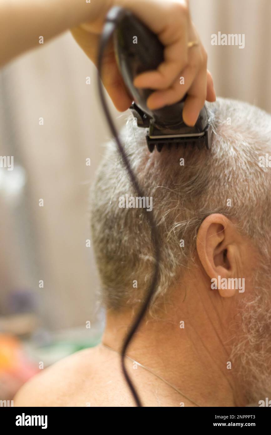 Hairdresser cut a hair. Stylist cutting gray hair by trimmer. Barber ...