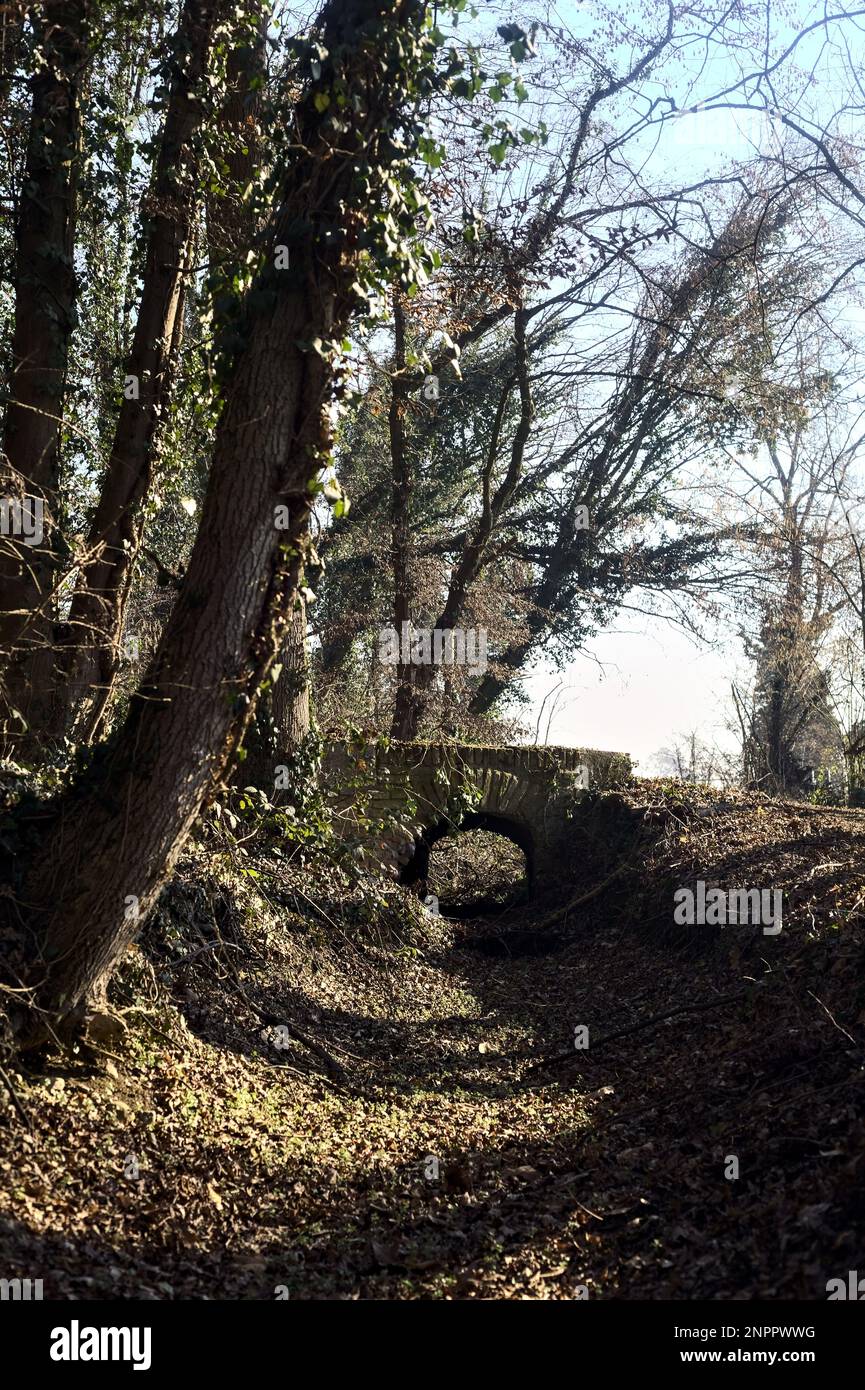 Crossing between trail in a park over an old brick footbridge next to a ...