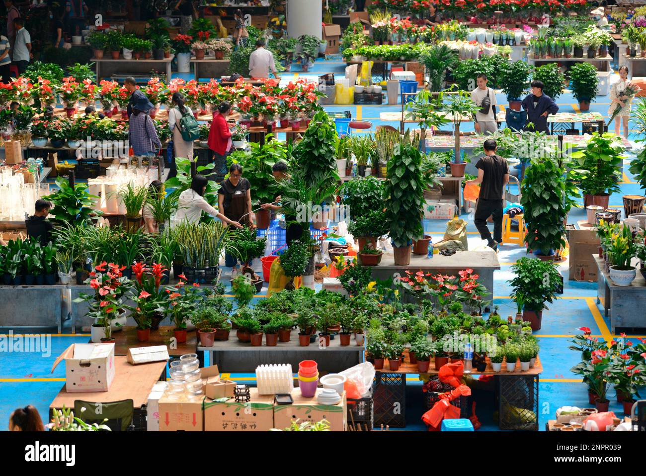 People trade in the Dounan Flower Market, Asia's largest fresh-cut ...