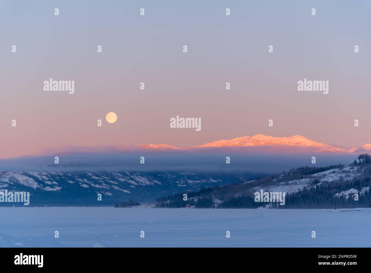 Incredible portrait view of winter landscape in Yukon Territory, Canada ...