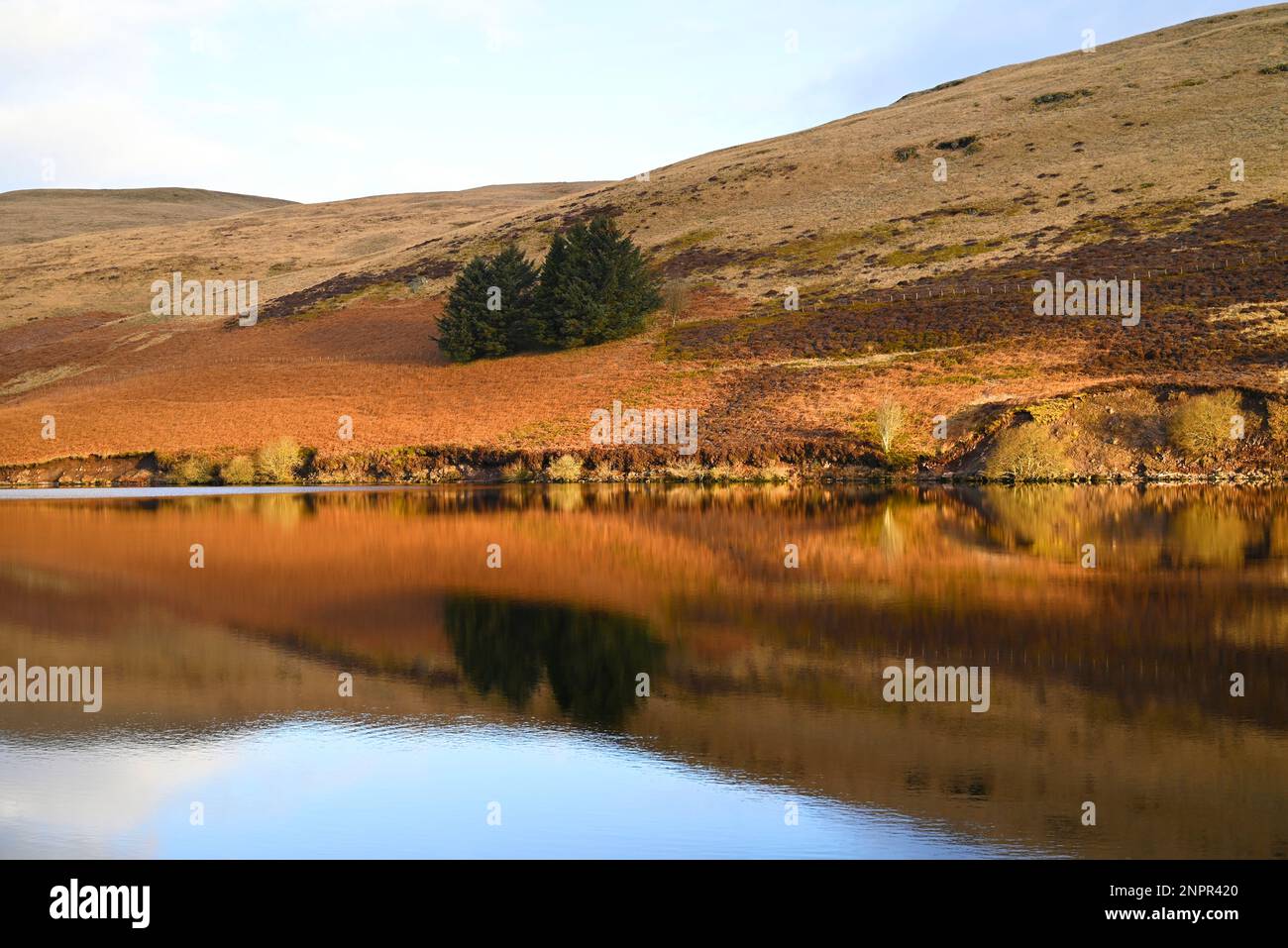 Upper Glendevon reservoir Perthshire Stock Photo - Alamy