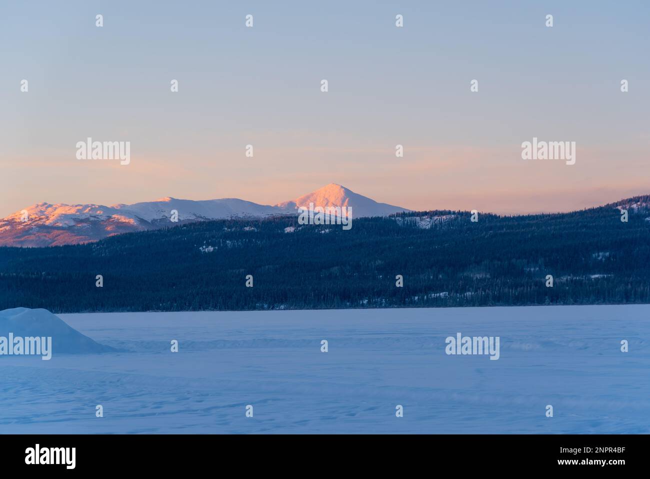 Incredible portrait view of winter landscape in Yukon Territory, Canada ...