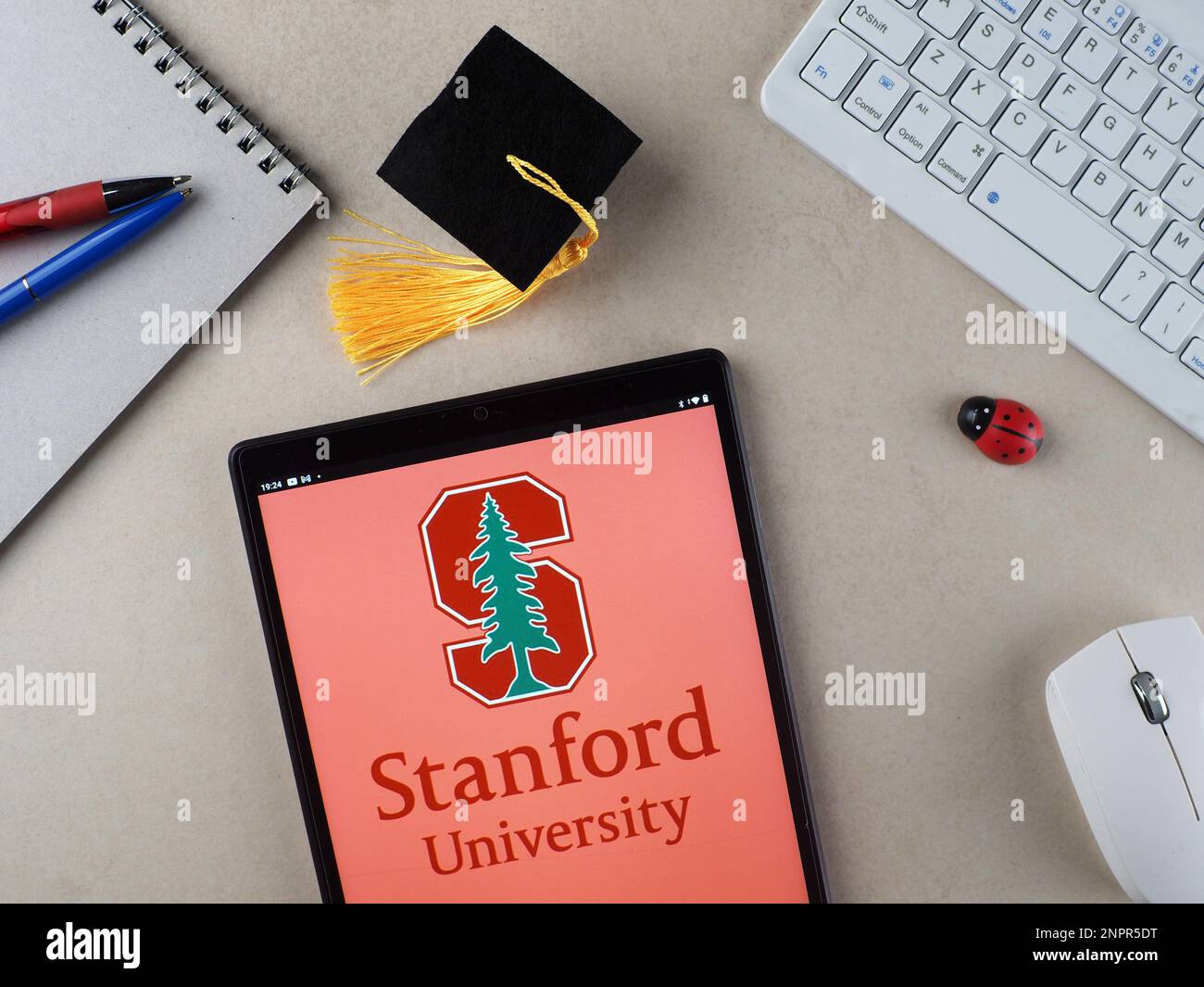 Stanford University Official Logo