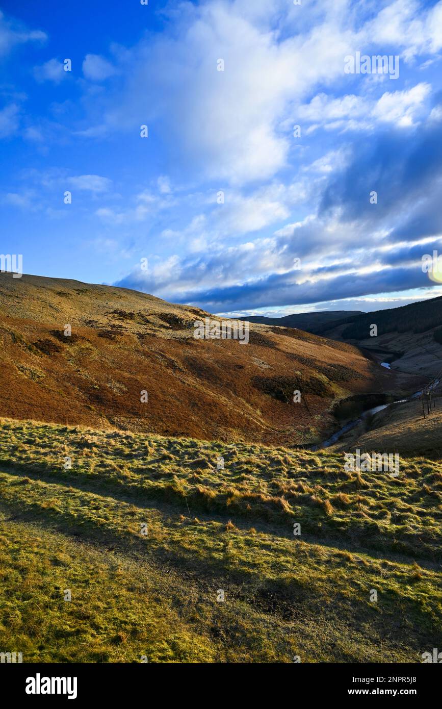 Lower Glendevon Perthshire Stock Photo - Alamy