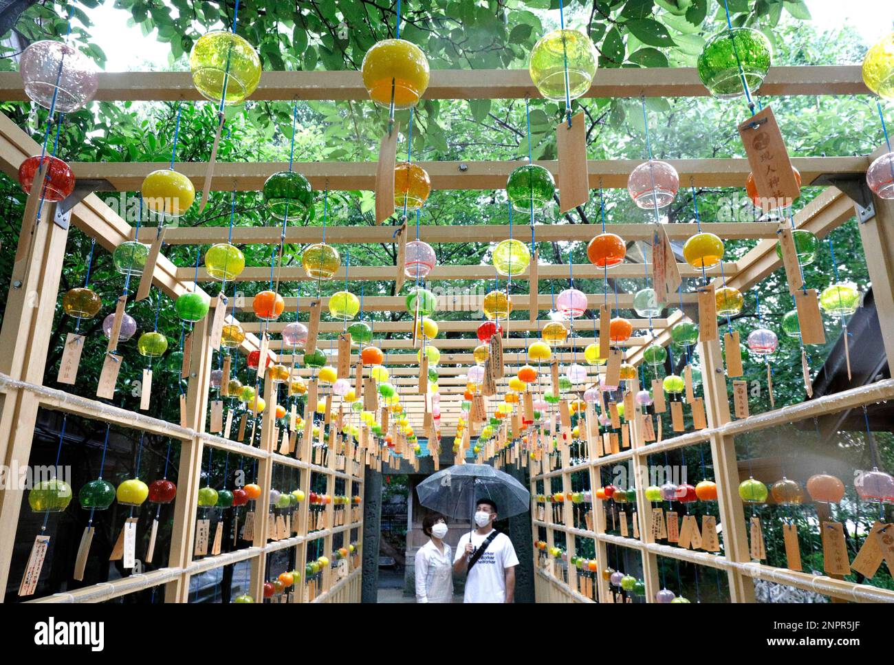 Japanese furin, wind chimes are hung under the eveas at Arahito Shrine ...