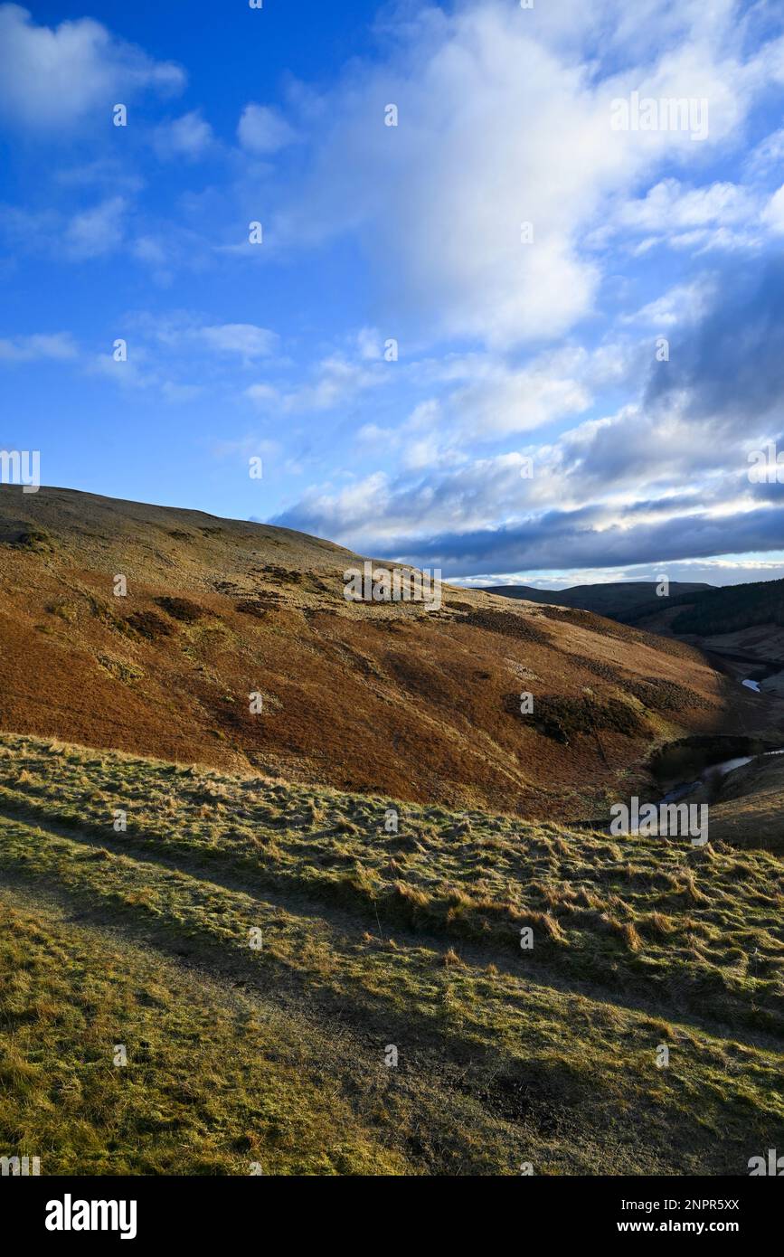 Lower Glendevon Perthshire Stock Photo - Alamy