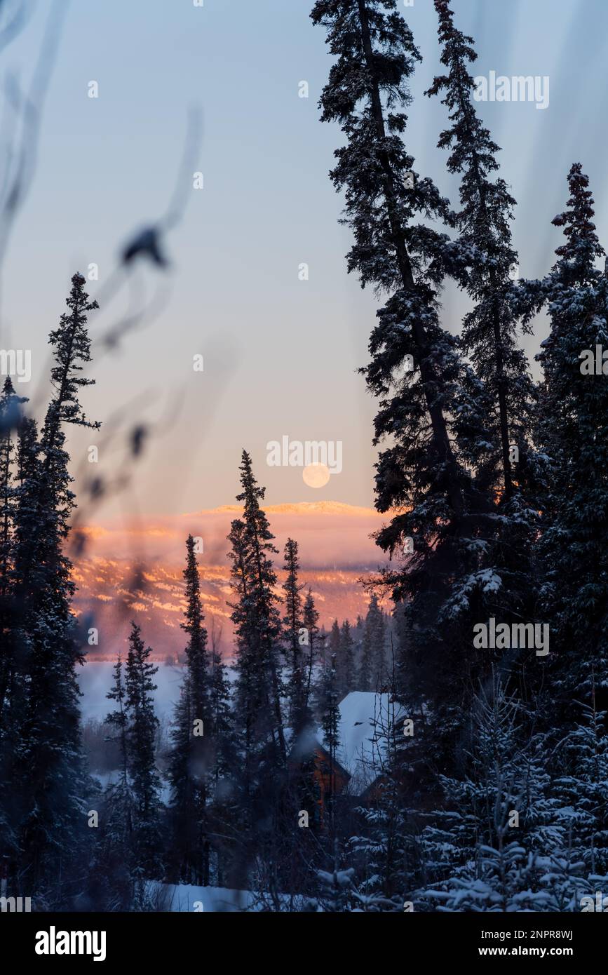 Incredible portrait view of winter landscape in Yukon Territory, Canada ...