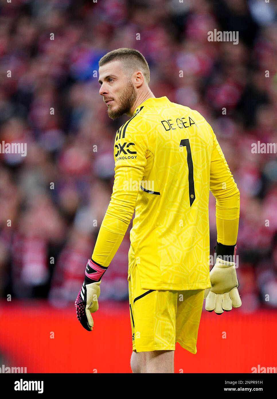 Manchester United goalkeeper David de Gea during the Carabao Cup Final ...