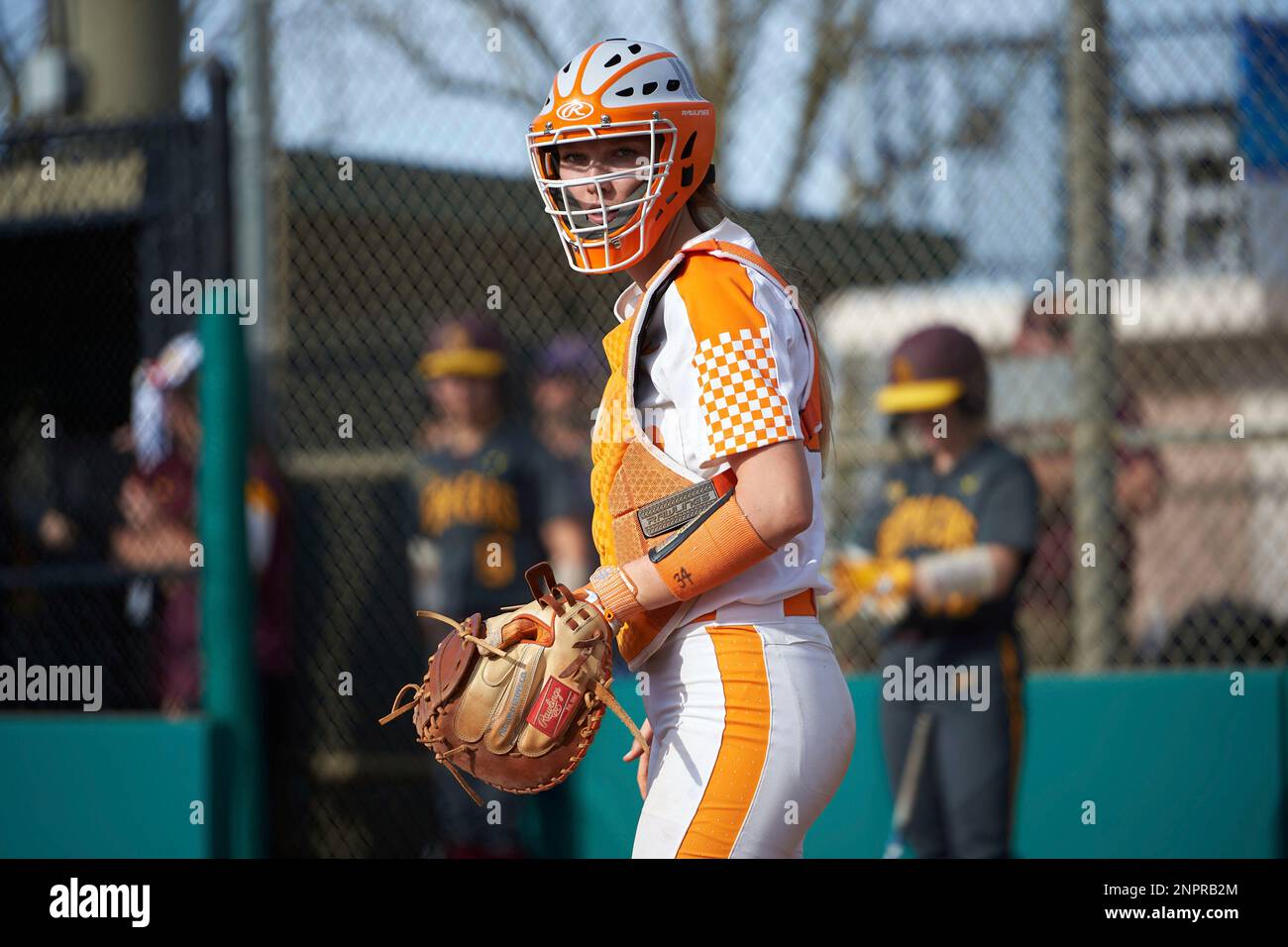 Tennessee Volunteers catcher Ally Shipman (34) during an NCCA Softball ...