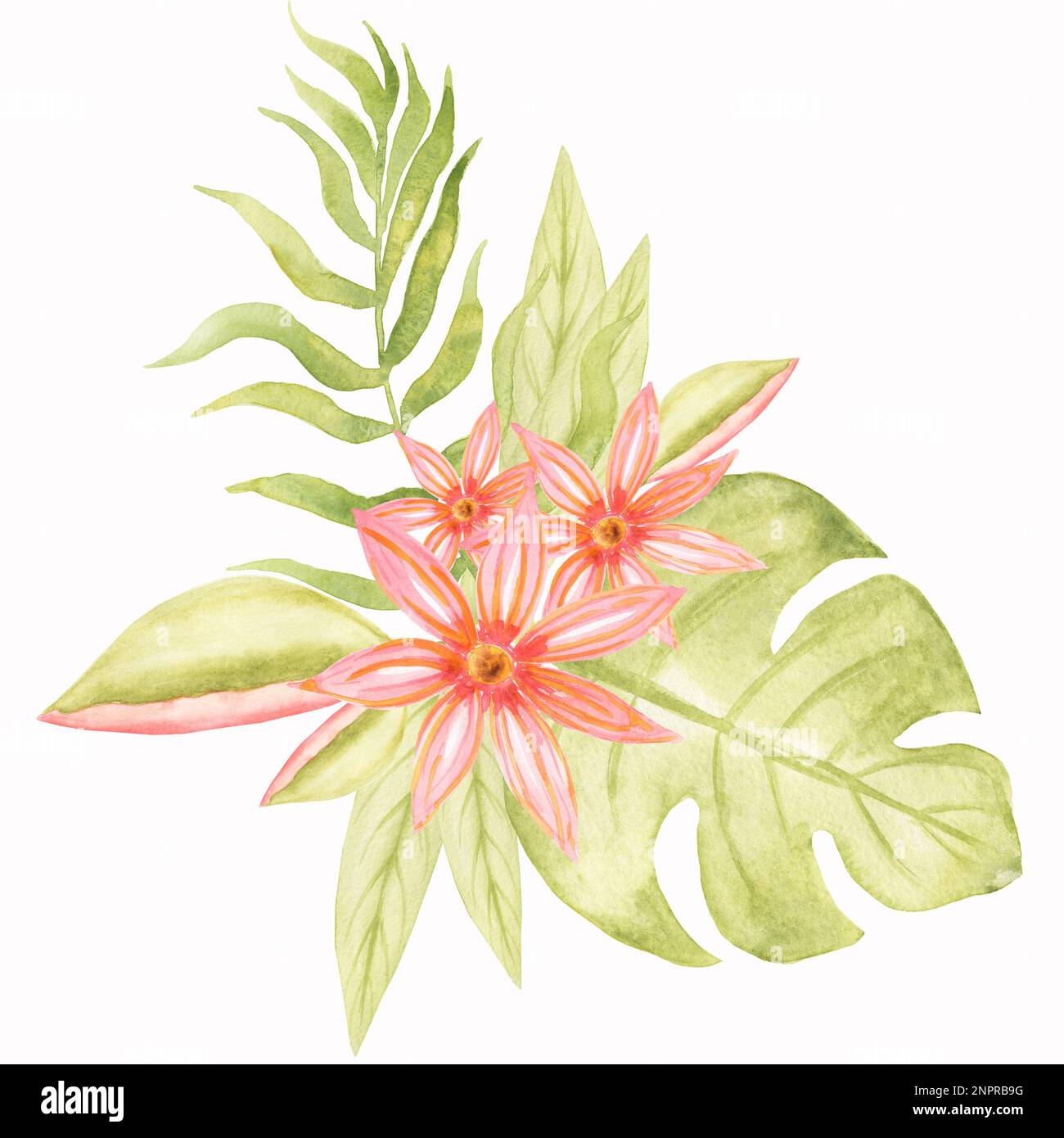 Tropical watercolor flowers. card with floral illustration. Bouquet of ...