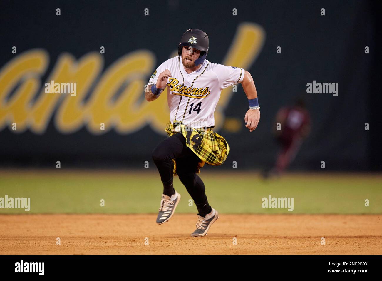 Savannah Bananas Logan Foster (14) running the bases during a Coastal ...