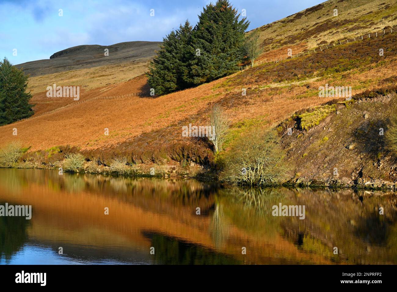 Glendevon reservoir hi-res stock photography and images - Alamy