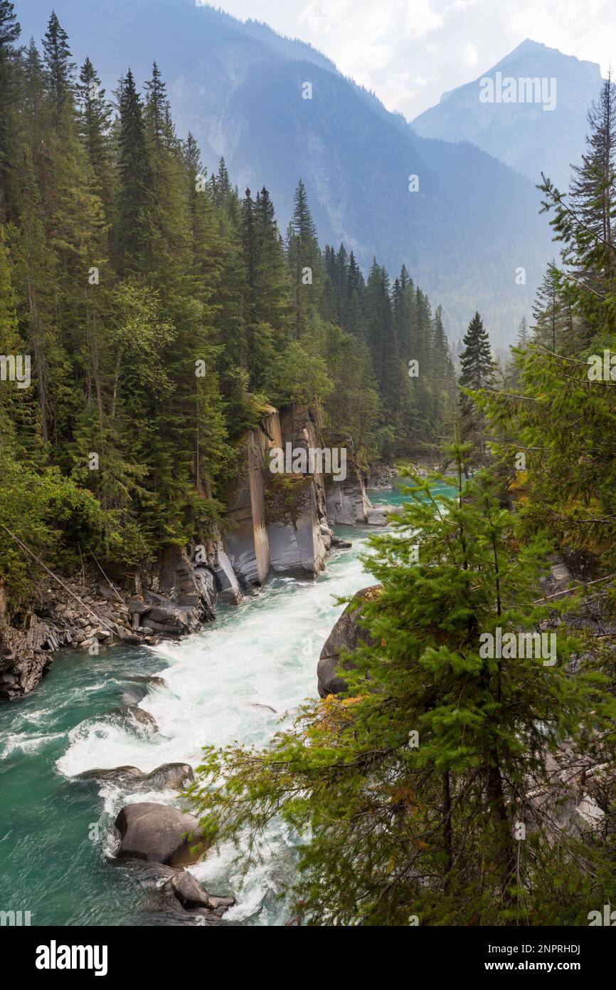 Beautiful mountains river in summer season, Canada Stock Photo - Alamy
