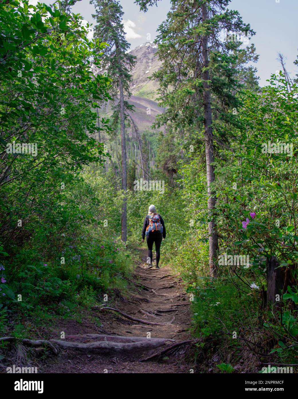 Stunning hike through Kathleen Lake in Haines Junction, Yukon Territory ...