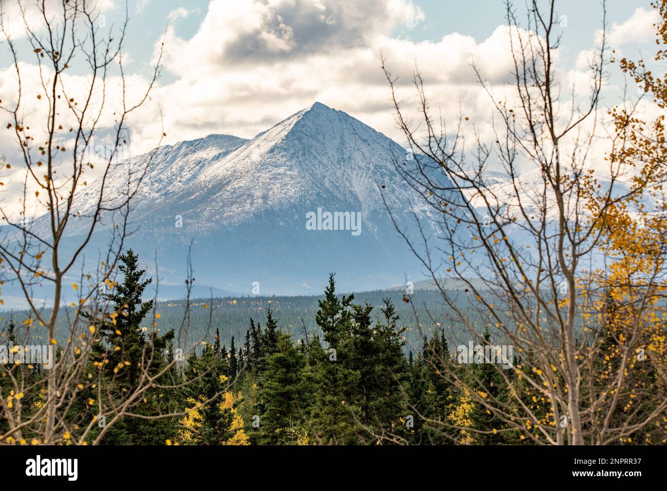 Beautiful fall landscape outside of Haines Junction during September ...