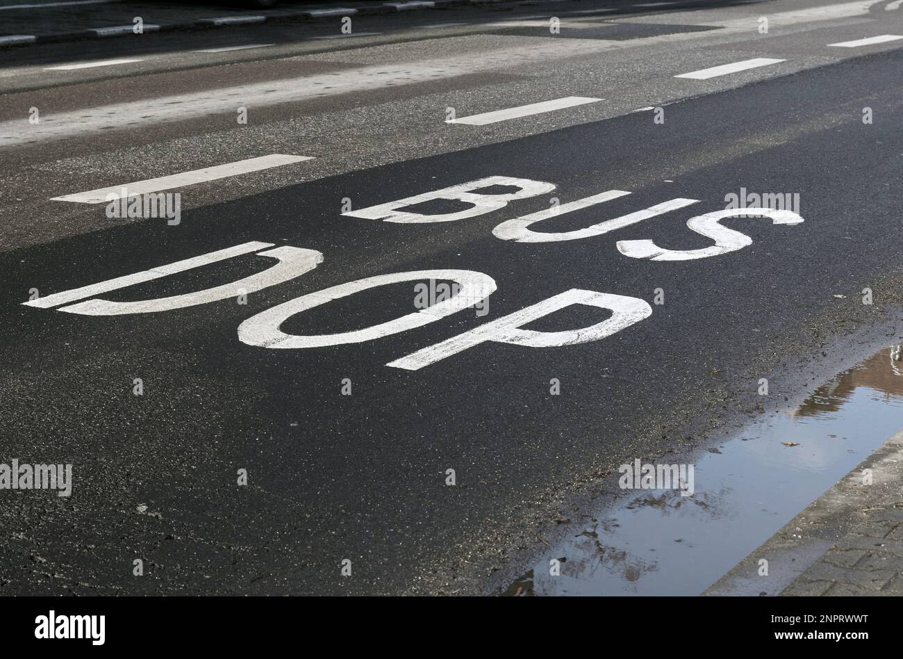 Dedicated for public transport lane on the road with the inscription ...