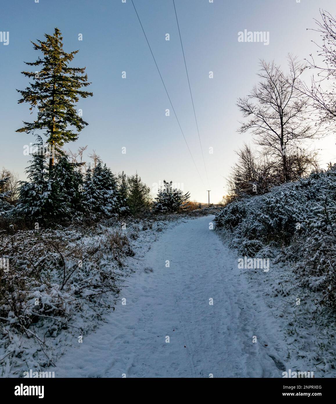 Light covering of snow hi-res stock photography and images - Alamy