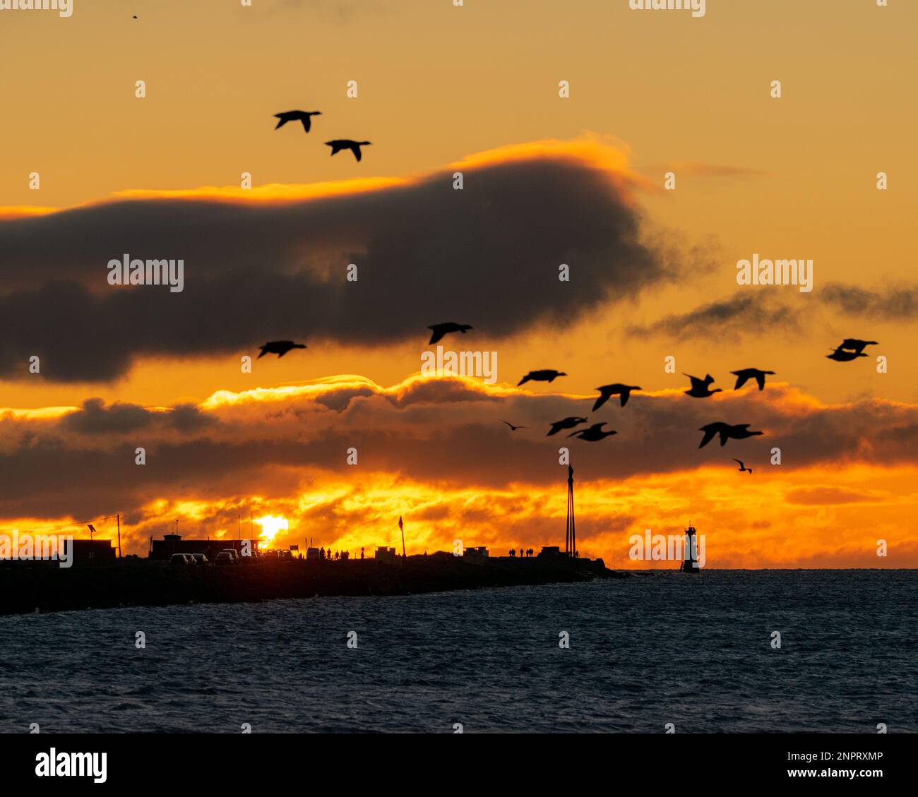 Bull wall dublin hi-res stock photography and images - Alamy