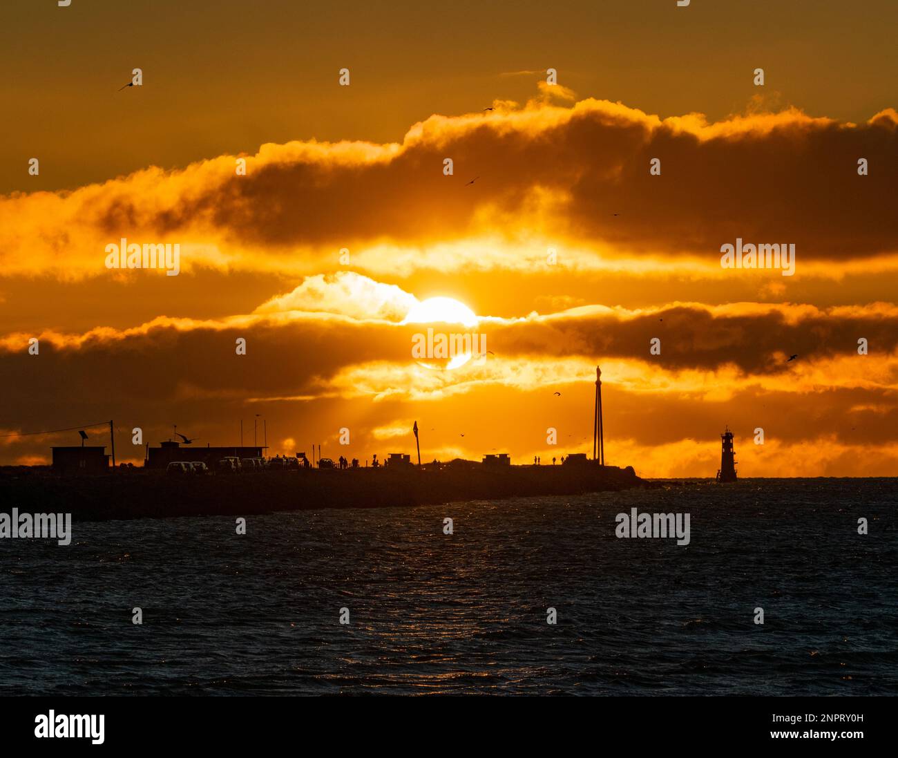 Bull wall dublin hi-res stock photography and images - Alamy