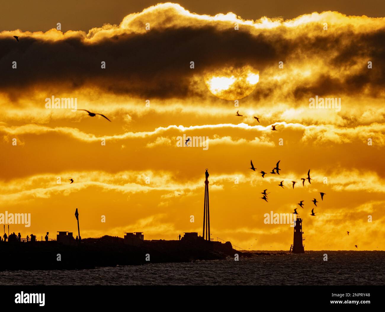 Bull wall dublin hi-res stock photography and images - Alamy