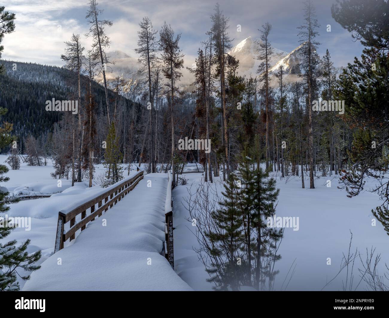 Snow covered rocky mountain peak and snow covered foot bridge Stock ...