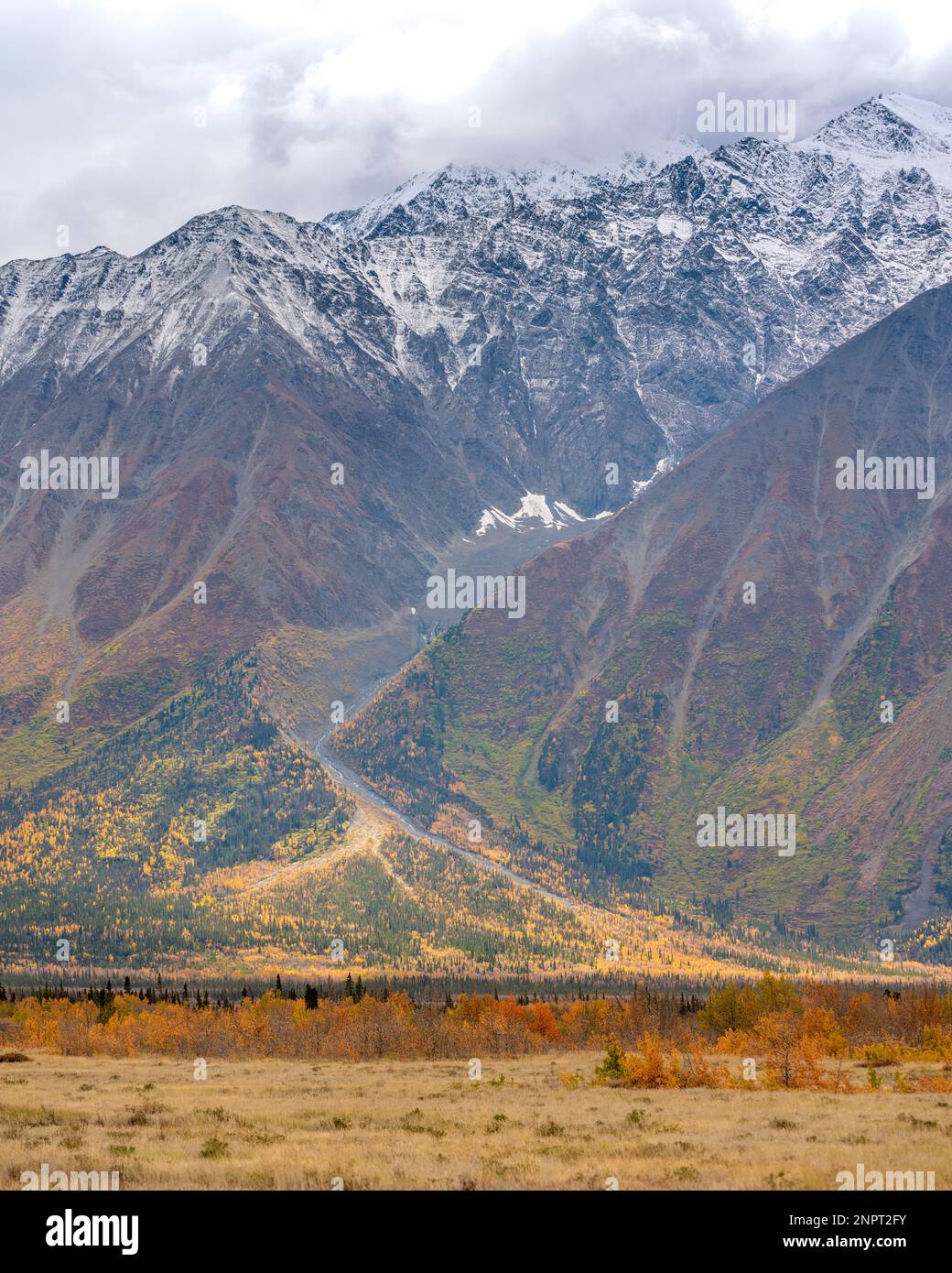 North boreal forest hi-res stock photography and images - Alamy
