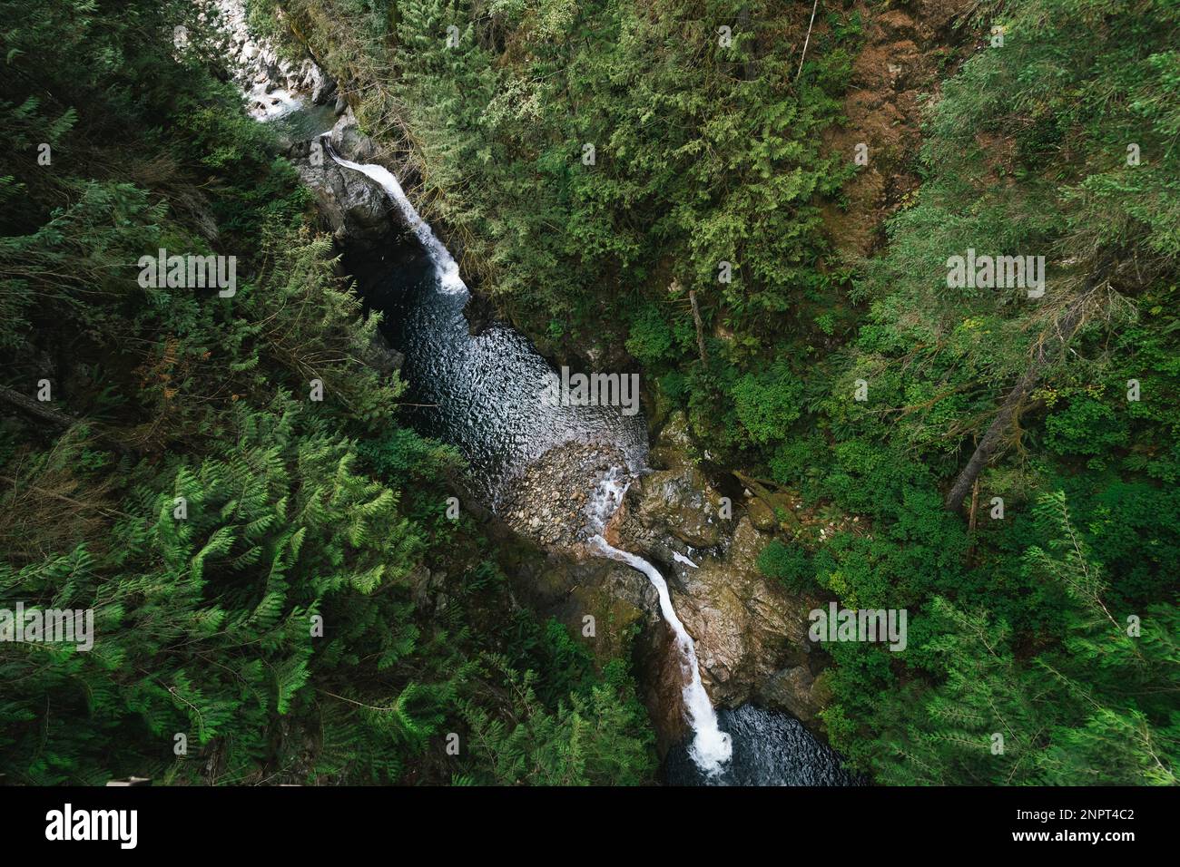 Lynn Canyon Park in West Vancouver, British Columbia, Canada ...