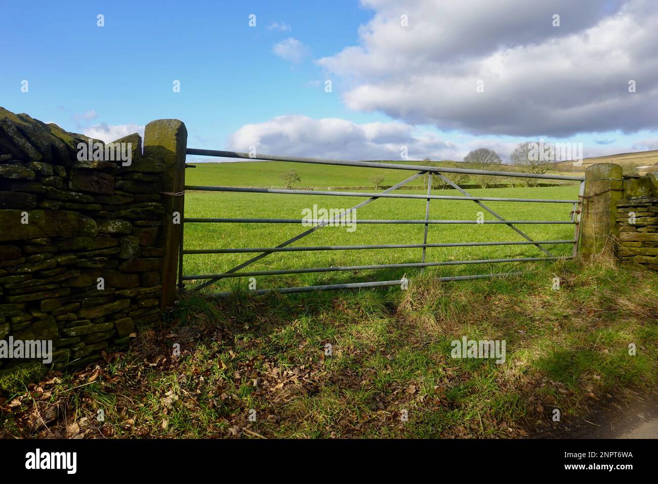 Birch gate hi-res stock photography and images - Alamy
