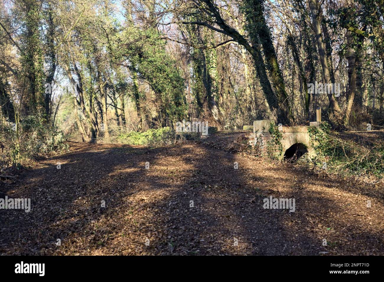 Crossing between trail in a park over an old brick footbridge next to a ...