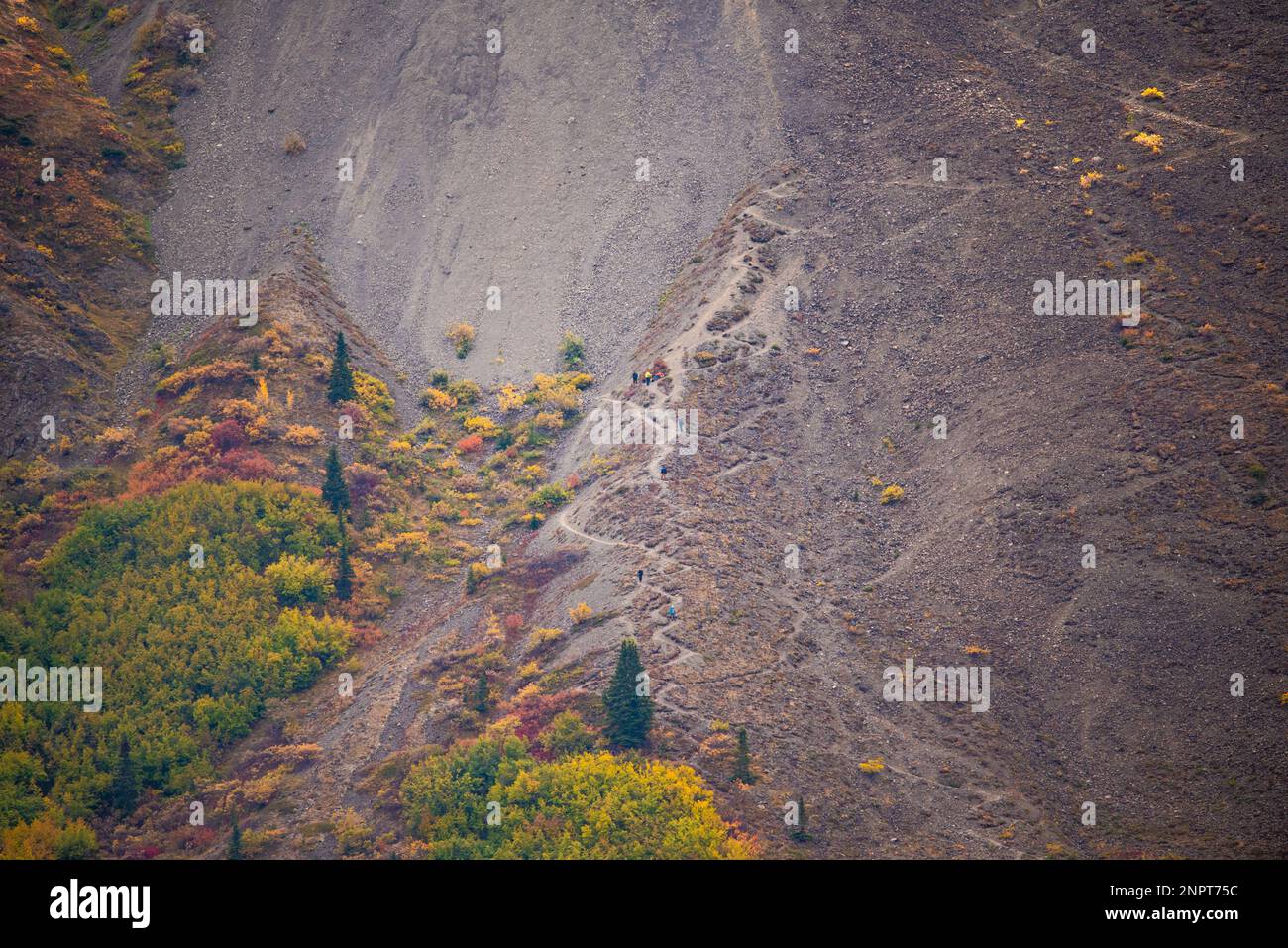 Stunning fall season, autumn in northern Canada during September on ...