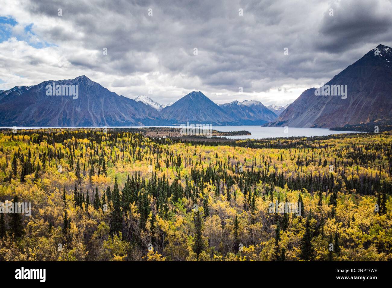 Stunning Haines Junction located in the northern Yukon Territory ...