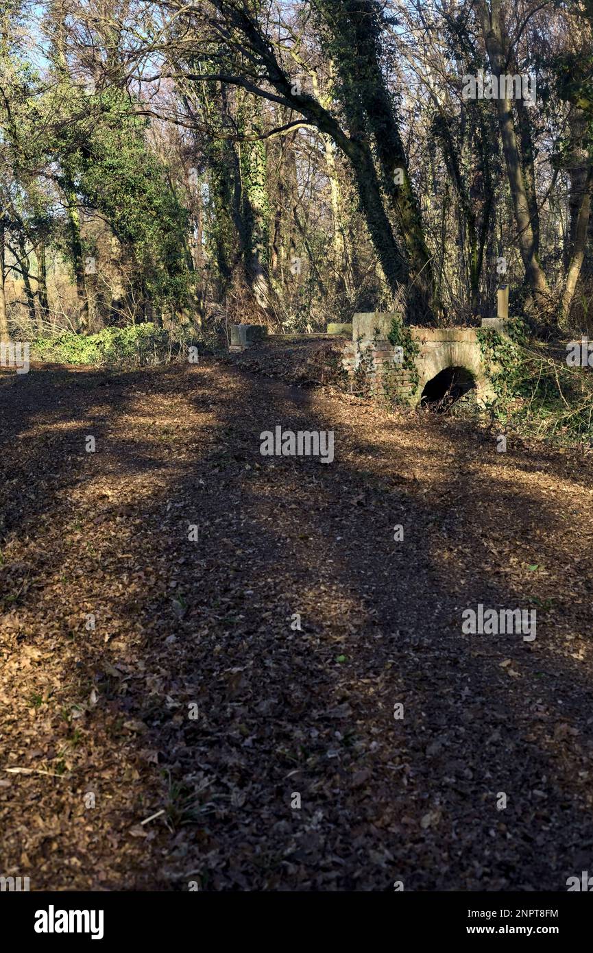 Crossing between trail in a park over an old brick footbridge next to a ...