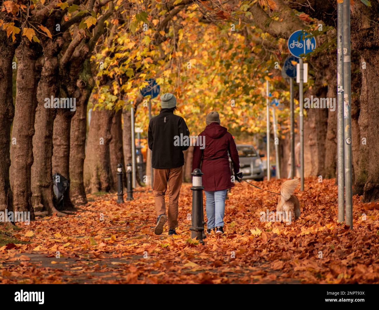 Griffith avenue dublin hi-res stock photography and images - Alamy