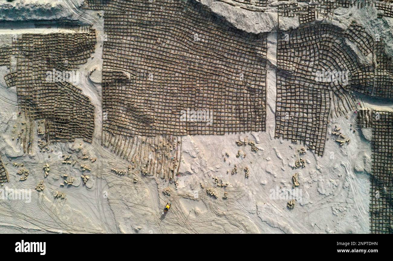 The sand fixation and prevention works in Taklimakan Desert in ...