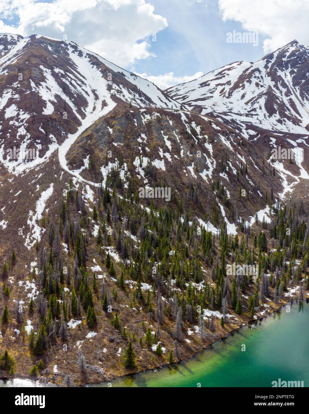 Stunning wilderness lake views in northern Canada during summer time ...