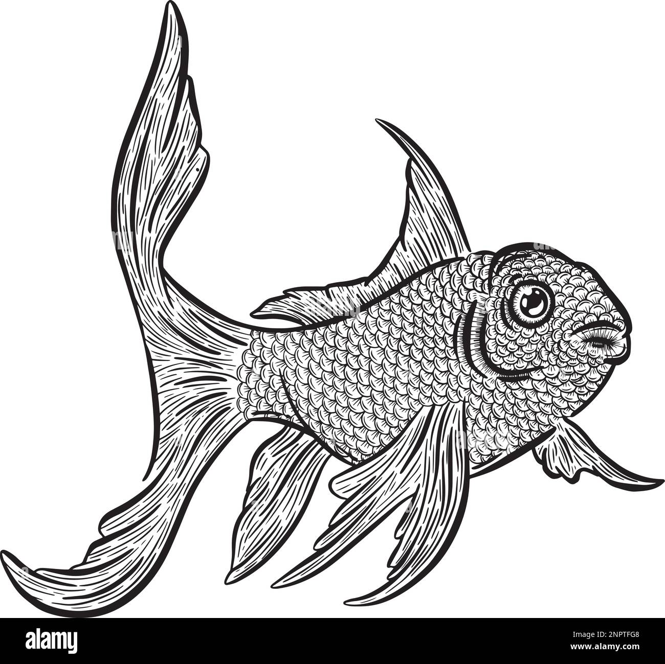 Graphic Illustration of a Gold Fish Design in Vector Stock Vector Image ...