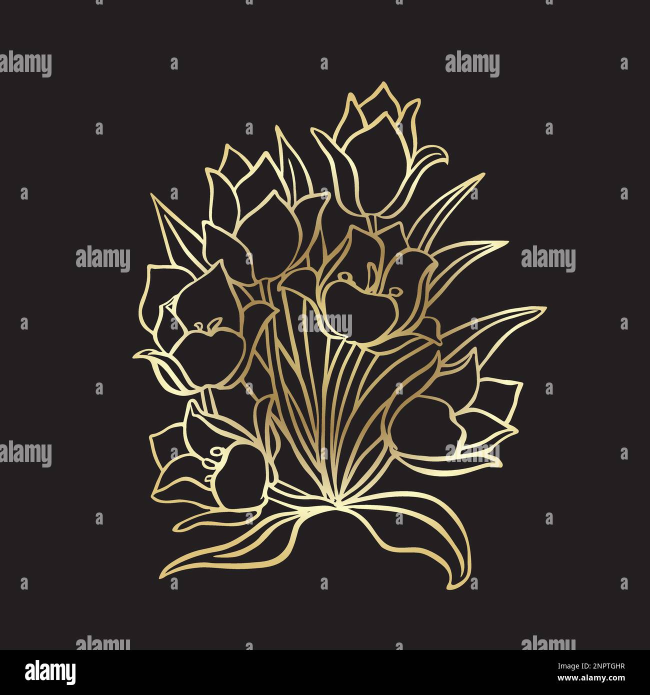 Flower tulip. Gold outline on black background, vector illustration ...