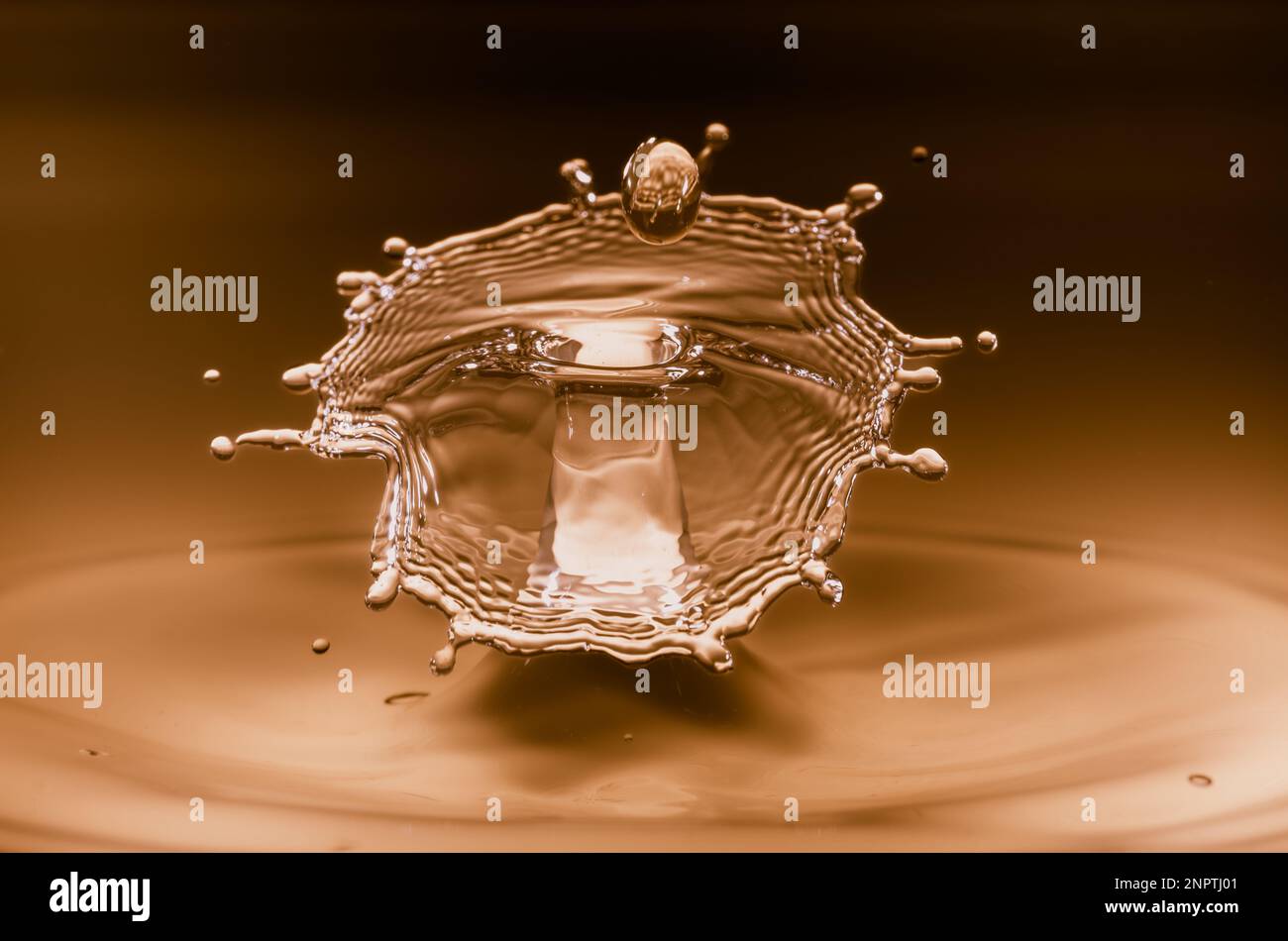 Macro photography water drops photographed with Pluto trigger Stock ...