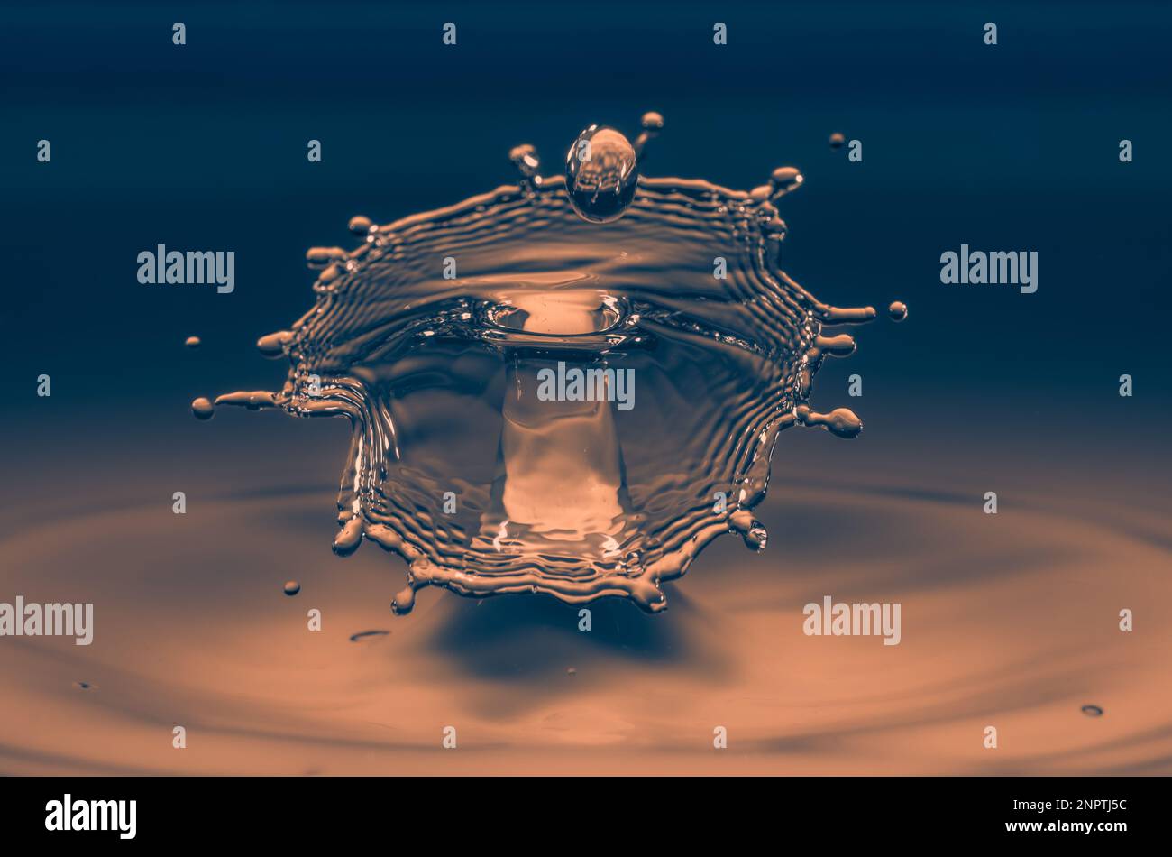 Macro photography water drops photographed with Pluto trigger Stock ...