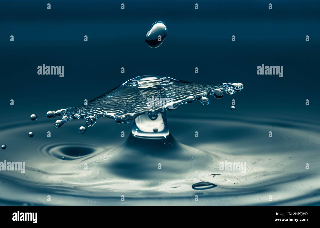 Macro photography water drops photographed with Pluto trigger Stock ...