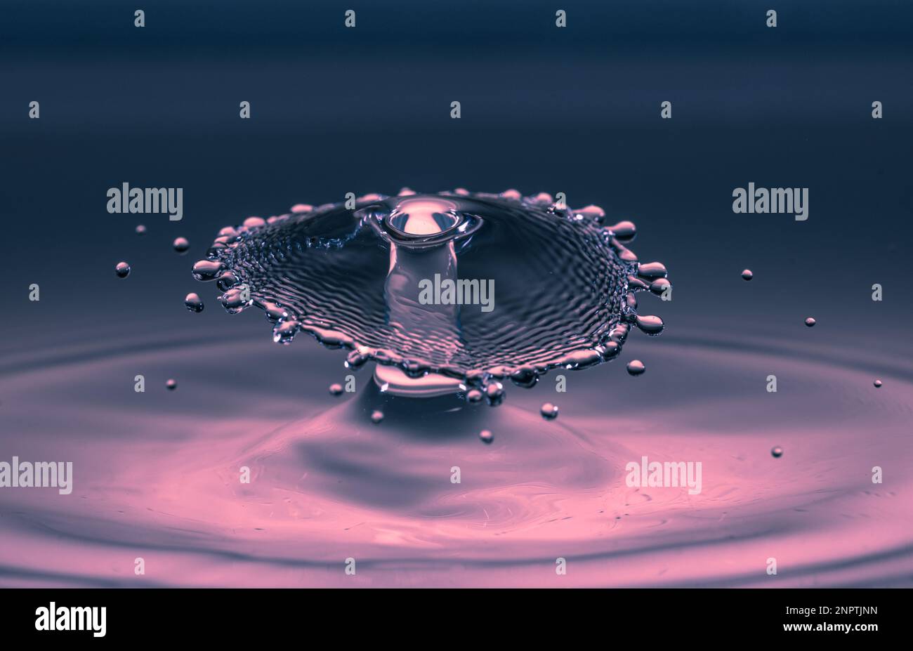 Macro photography water drops photographed with Pluto trigger Stock ...