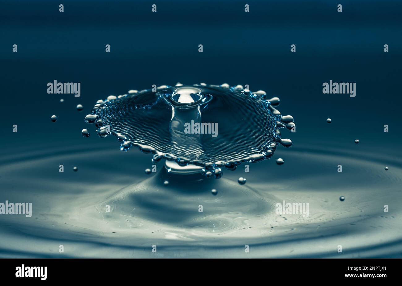 Macro photography water drops photographed with Pluto trigger Stock ...