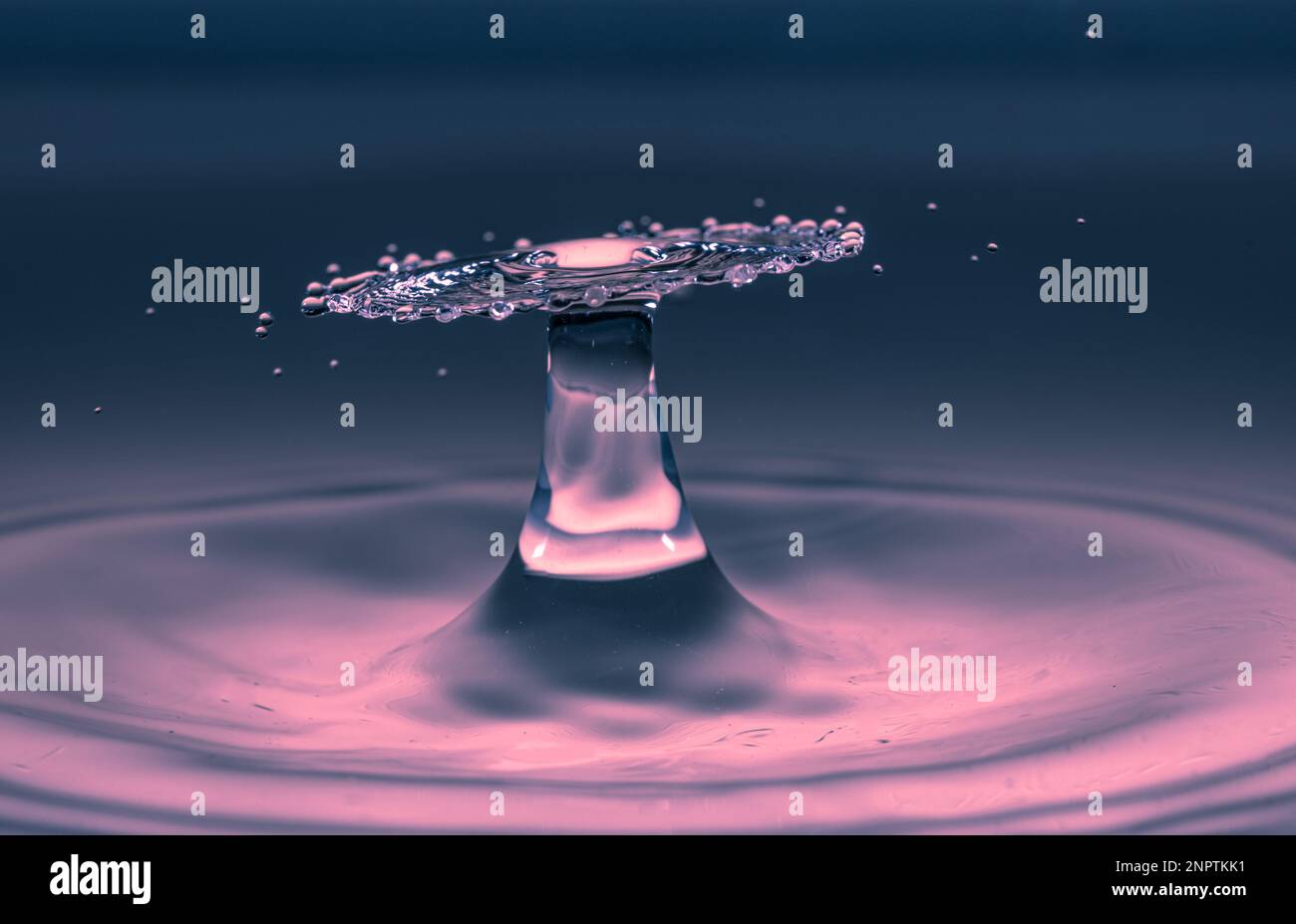 Macro photography water drops photographed with Pluto trigger Stock ...