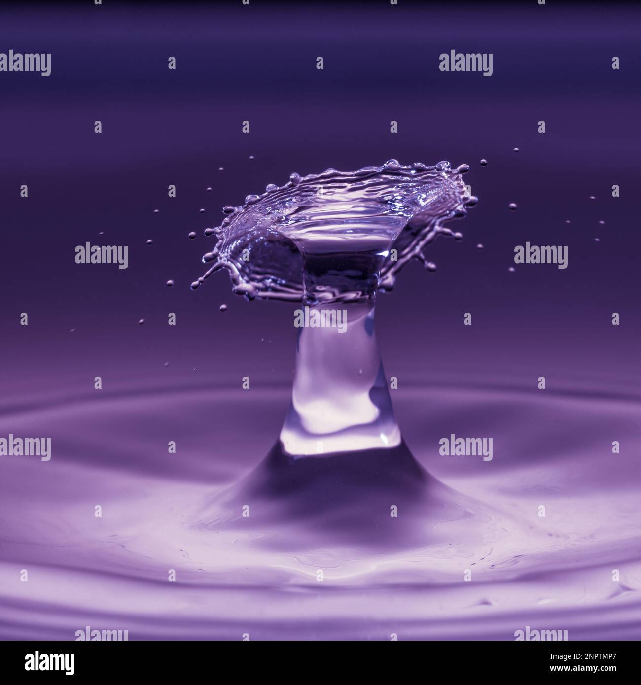 Macro photography water drops photographed with Pluto trigger Stock ...