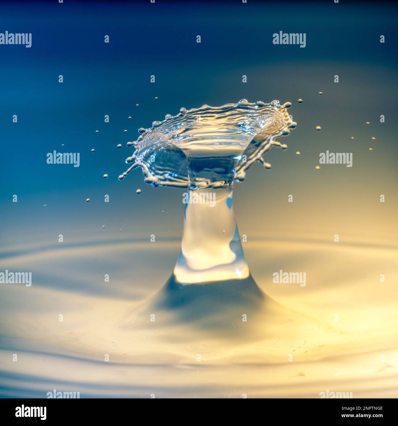 Macro photography water drops photographed with Pluto trigger Stock ...