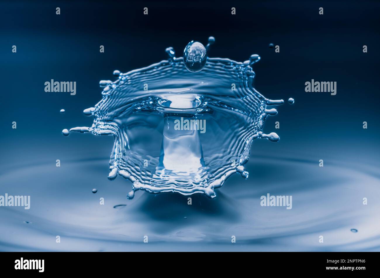 Macro photography water drops photographed with Pluto trigger Stock ...