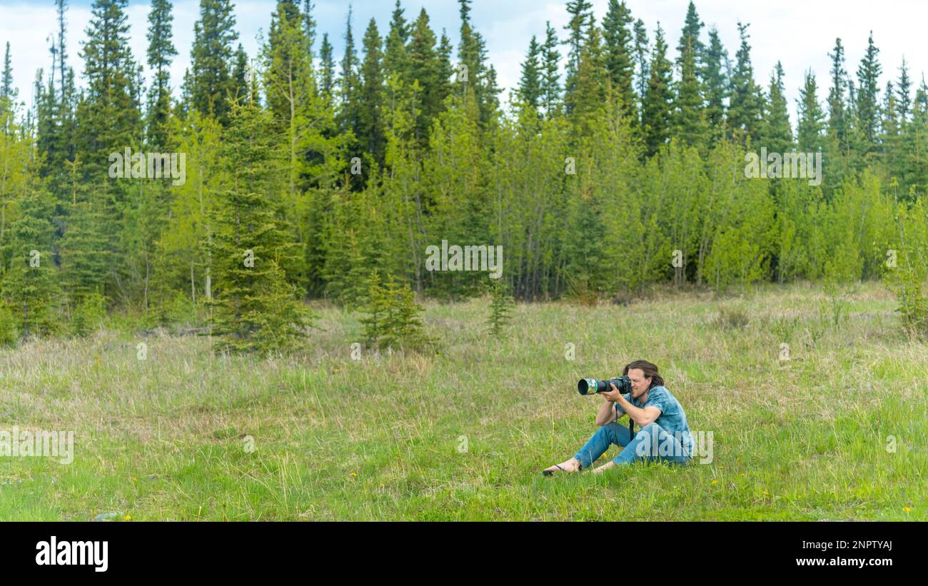 Photographer taking photo with boreal forest background in summer time ...