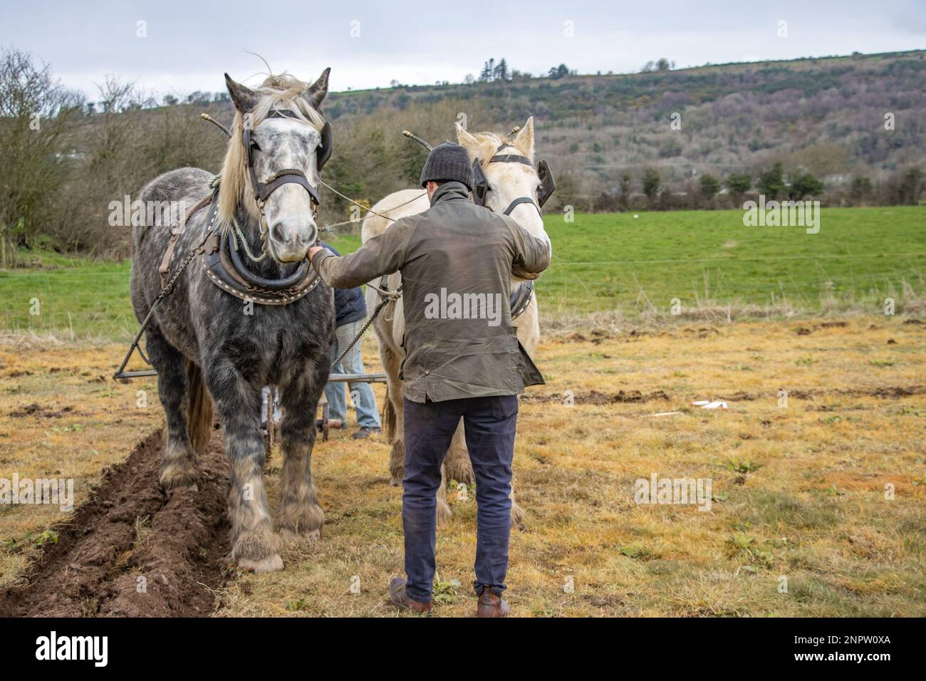 Macroom Cork County Ploughing Match, February 2023 Stock Photo - Alamy