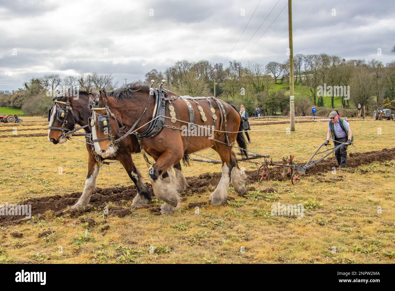 Macroom Cork County Ploughing Match, February 2023 Stock Photo - Alamy