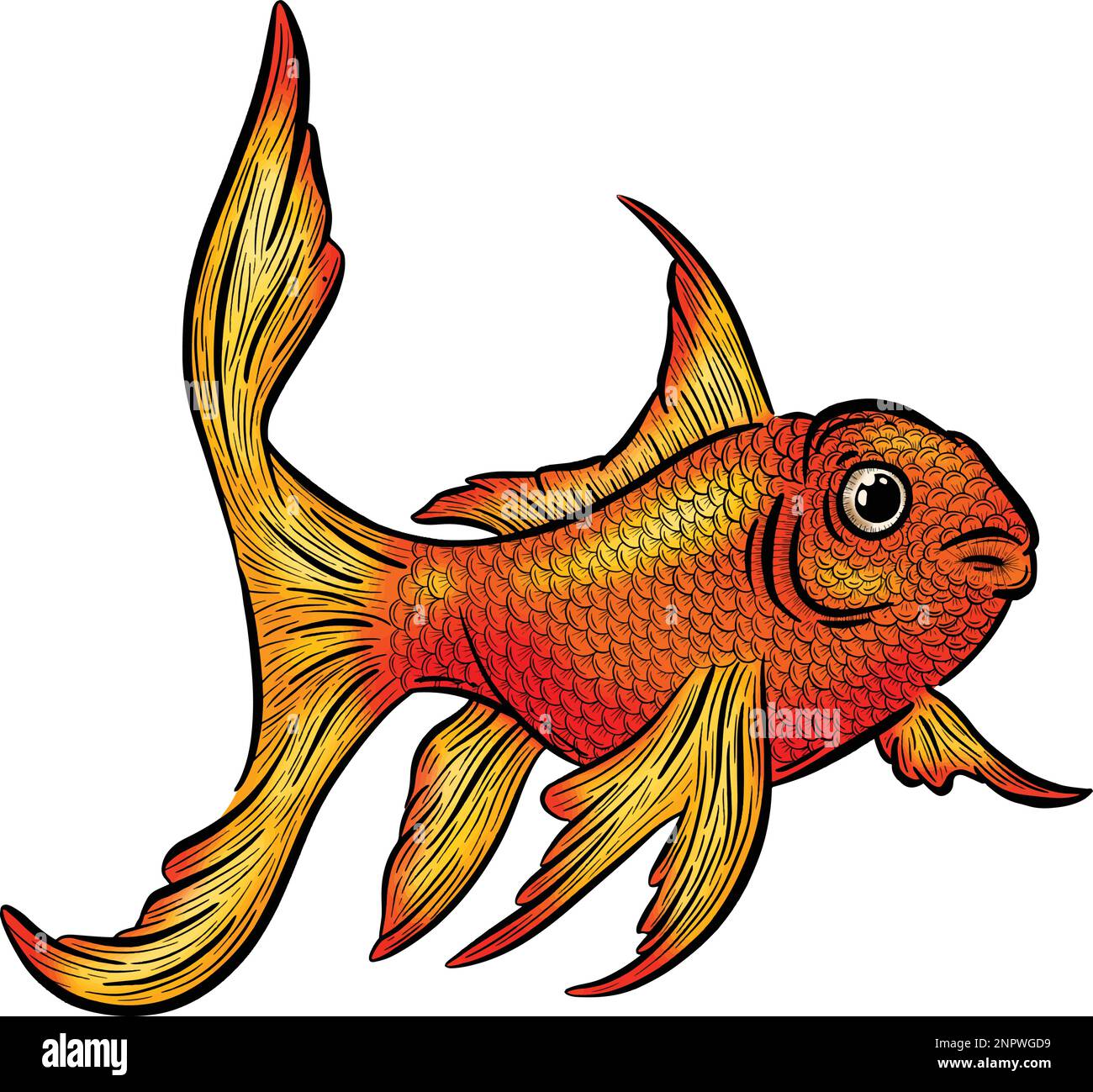 Graphic Illustration of a Gold Fish Design in Vector Stock Vector Image ...